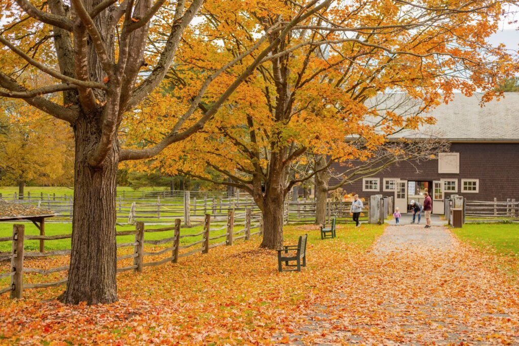 Connections: Woodstock, Vermont with Farmer Betsy Luce | All Roads North